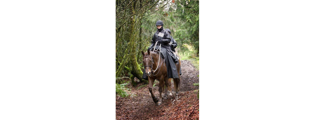 Winter Horseback Riding Lap Robes for sale - - The Northwest Horse Source