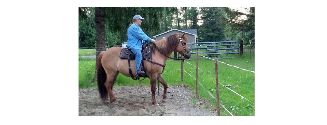 Riding Well Grounded - Finishing the Side Pass from the Saddle - - The ...