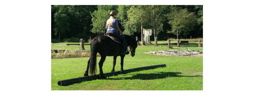 Riding Well Grounded - Straddle Pole - - The Northwest Horse Source