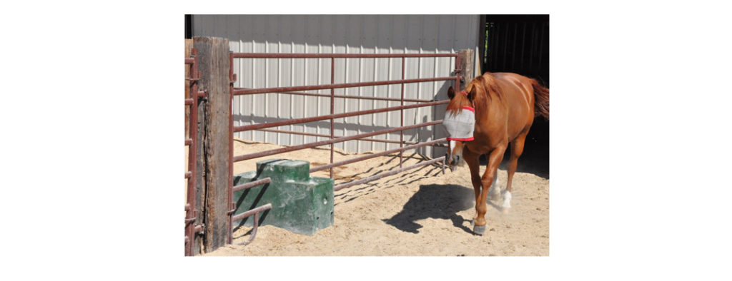 How to Install Automatic Waterers - - The Northwest Horse Source