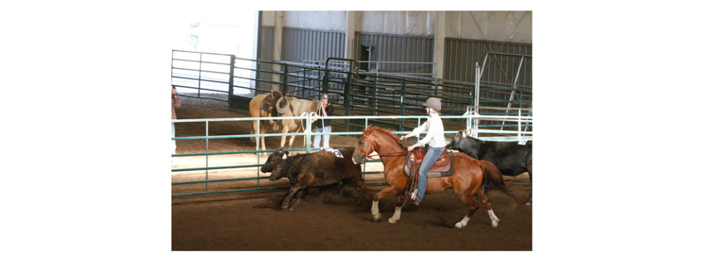Ranch Sorting: The New Sport to Try - - The Northwest Horse Source