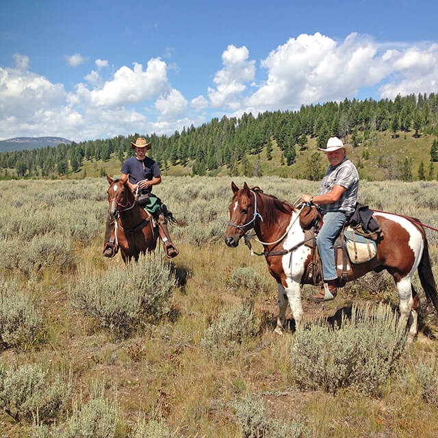 My Yellowstone Adventure - - The Northwest Horse Source