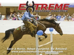 The Mustang Heritage Foundation Celebrates 10 Years of Extreme Mustang ...