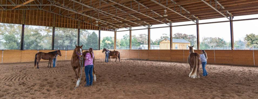 Arena Footing Basics 101 - - The Northwest Horse Source
