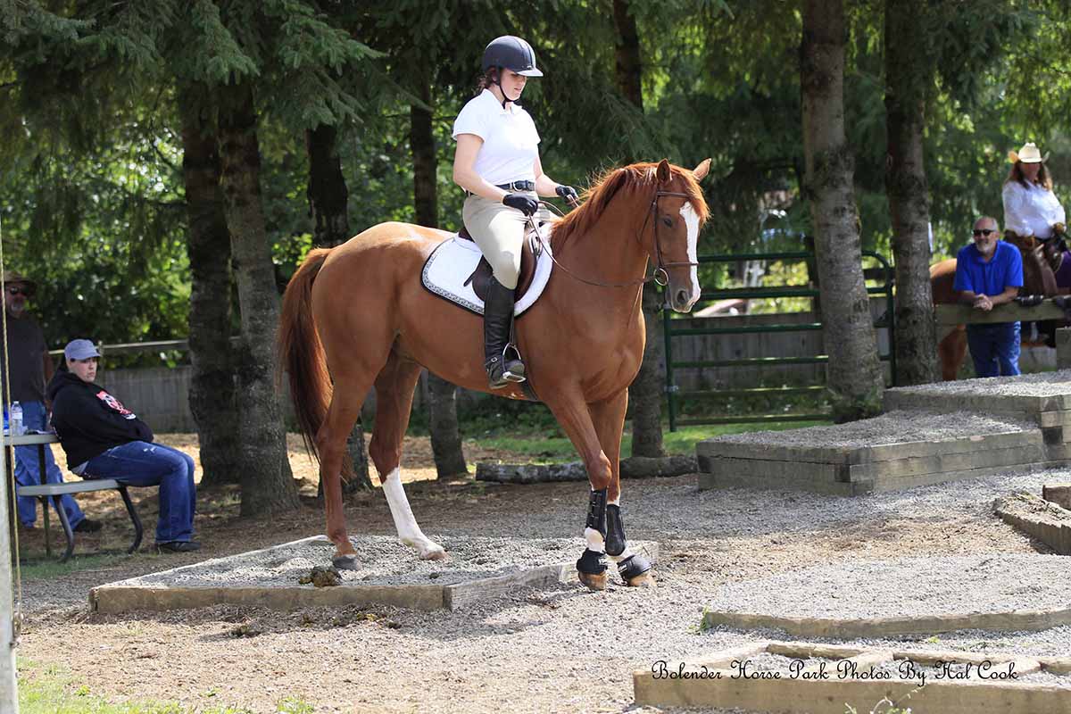 November 2015 Cover Story: Mountain Trail - The All Breed Discipline ...