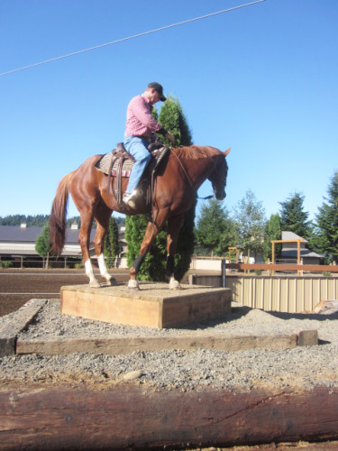 Tricks of the Turnaround Box - - The Northwest Horse Source