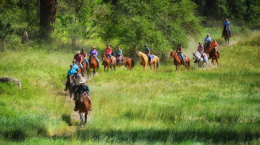 March 2016 Cover Story: Mountain House Stables - - The Northwest Horse ...
