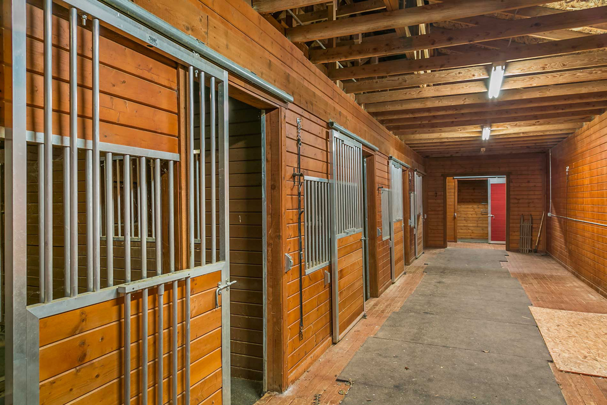 Maria Danieli Carnation Stalls – The Northwest Horse Source