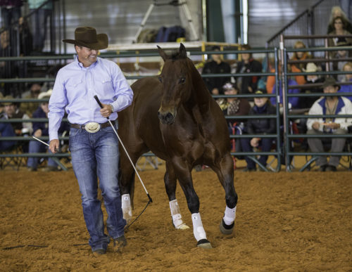 Clinton Anderson’s 2017 Walkabout Tour Schedule - Articles - The ...