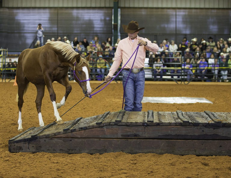 Clinton Anderson’s 2017 Walkabout Tour Schedule - Articles - The ...