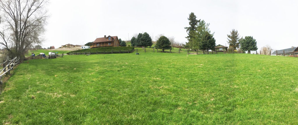 Betty Medrano 130 Hovde Ln Selah WA Overview – The Northwest Horse Source