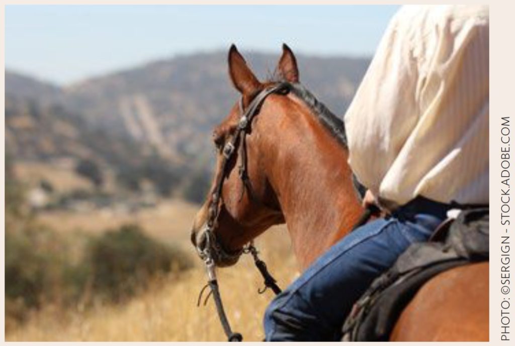 Riding Fear Free - Reviewing Simple Exercises to Master Fundamentals ...