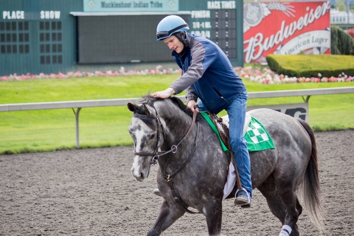 “I Bought a Racehorse” - - The Northwest Horse Source