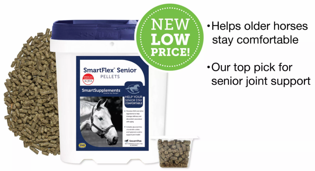 Set Up Your Senior Horse For Success - News - The Northwest Horse Source