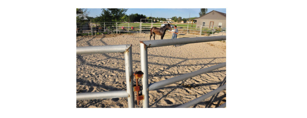How to Select a Round Pen - - The Northwest Horse Source