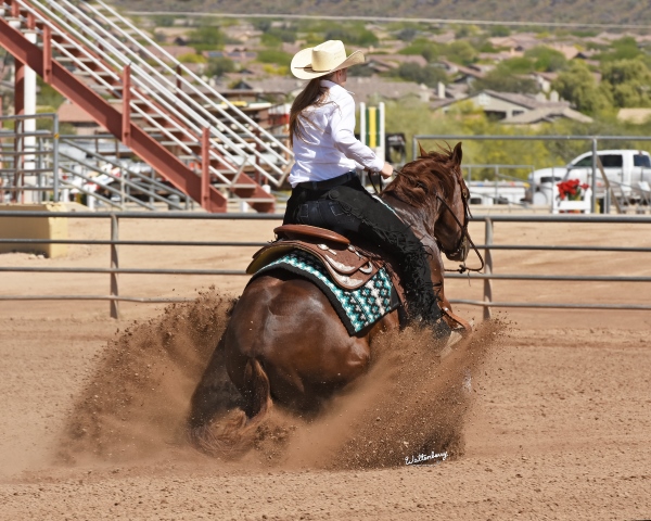 2018 Cactus Reining Classic - News - The Northwest Horse Source
