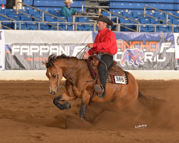 2018 Cactus Reining Classic - News - The Northwest Horse Source