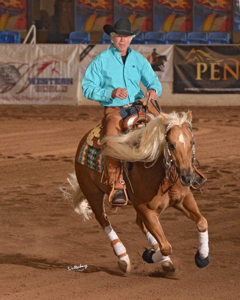 2018 Cactus Reining Classic - News - The Northwest Horse Source