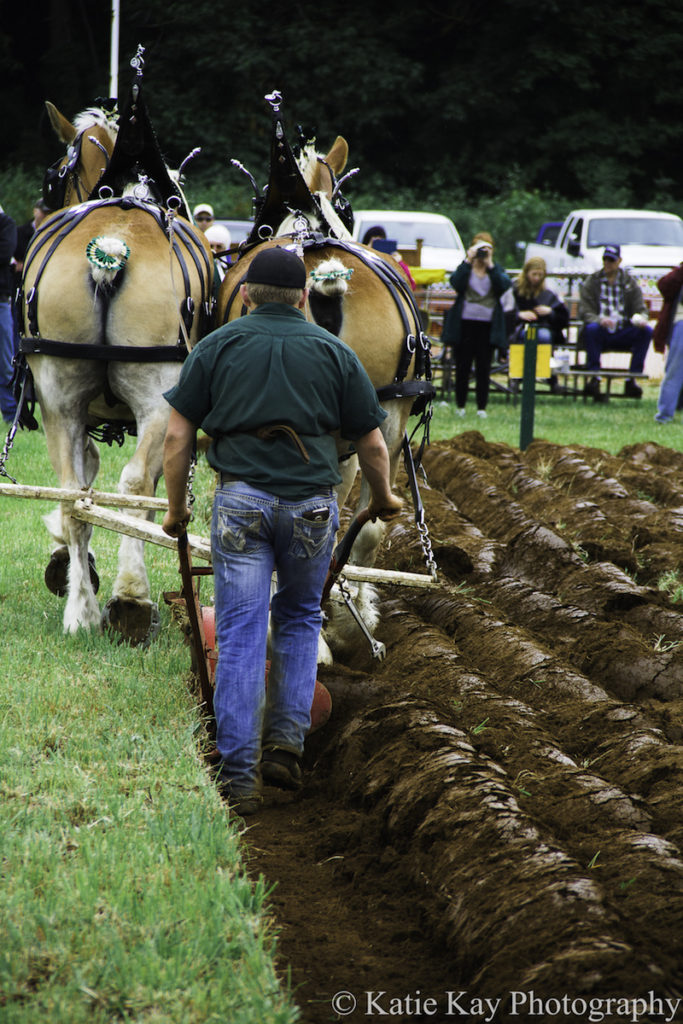 Lynden’s International Plowing Match - Equestrian Lifestyle - The ...