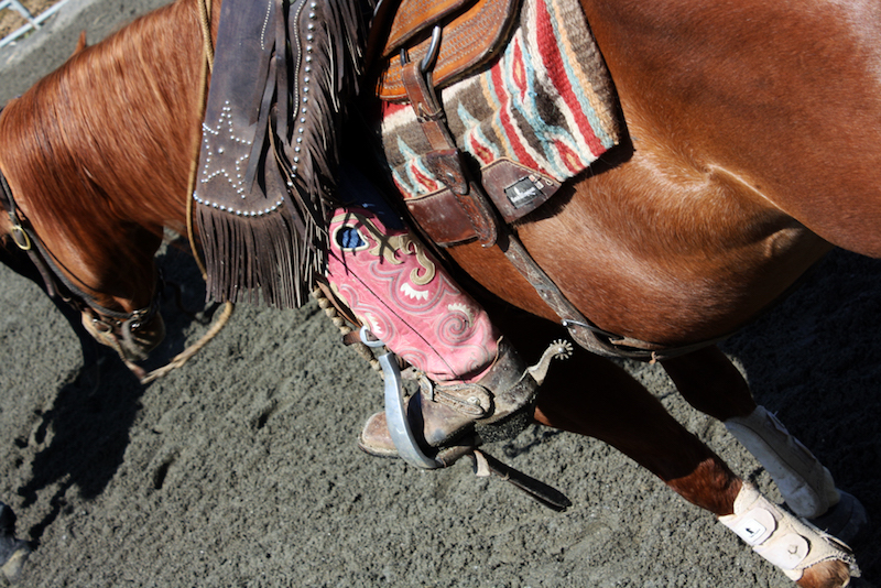 The Spur - - The Northwest Horse Source