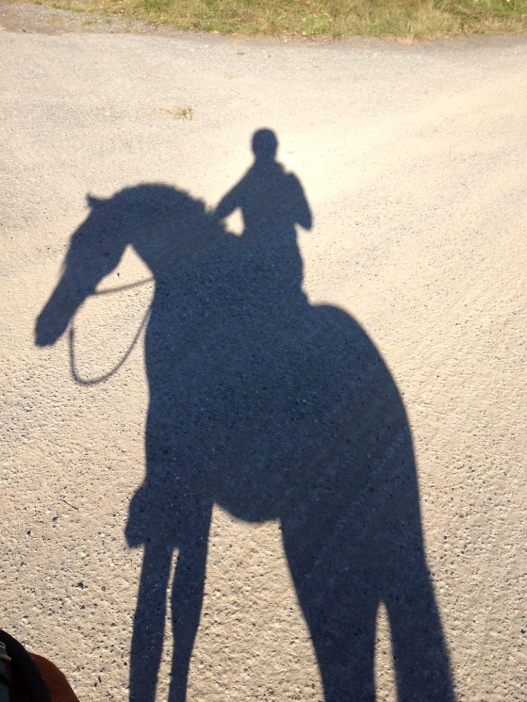 On Riding Alone - It Takes a Community to Raise a Horseman - - The ...