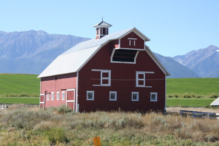 Farm Renovation on a Budget - Recycle, Repurpose, Reuse - - The ...