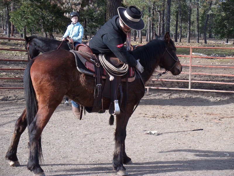 Out of the Wild - Part 5: The First Ride - - The Northwest Horse Source