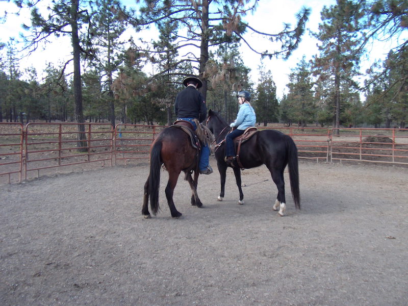 Out of the Wild - Part 5: The First Ride - - The Northwest Horse Source