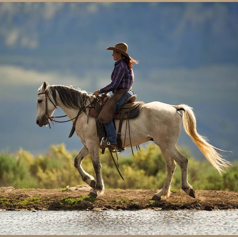 Debbie Schrock of JD Outfitters - Equestrian Lifestyle - The Northwest ...