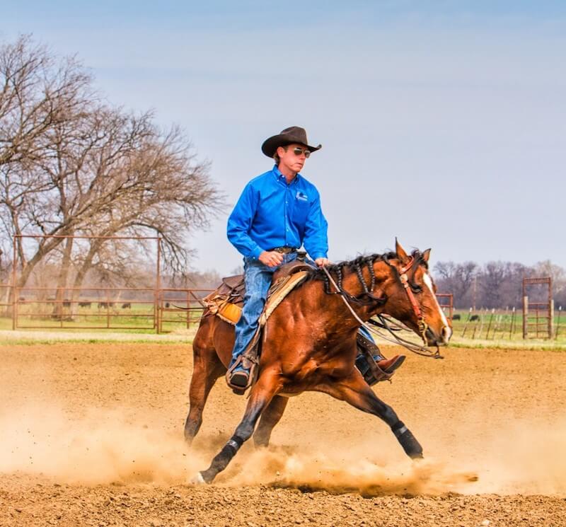 The Qualities of a Good Performance Horse - - The Northwest Horse Source