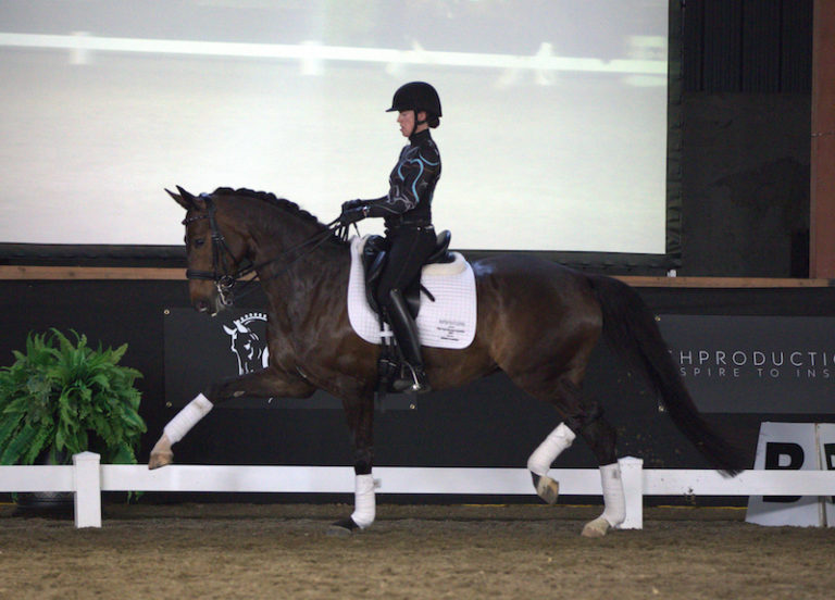The Qualities of a Good Performance Horse - - The Northwest Horse Source