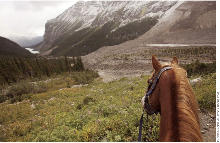 Trail Savvy - Keeping Trails Open - - The Northwest Horse Source