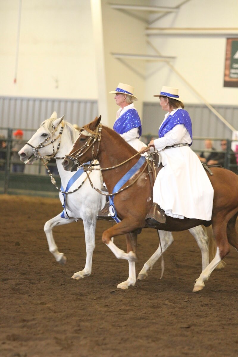 Lynden Horse Expo - In Photos - - The Northwest Horse Source