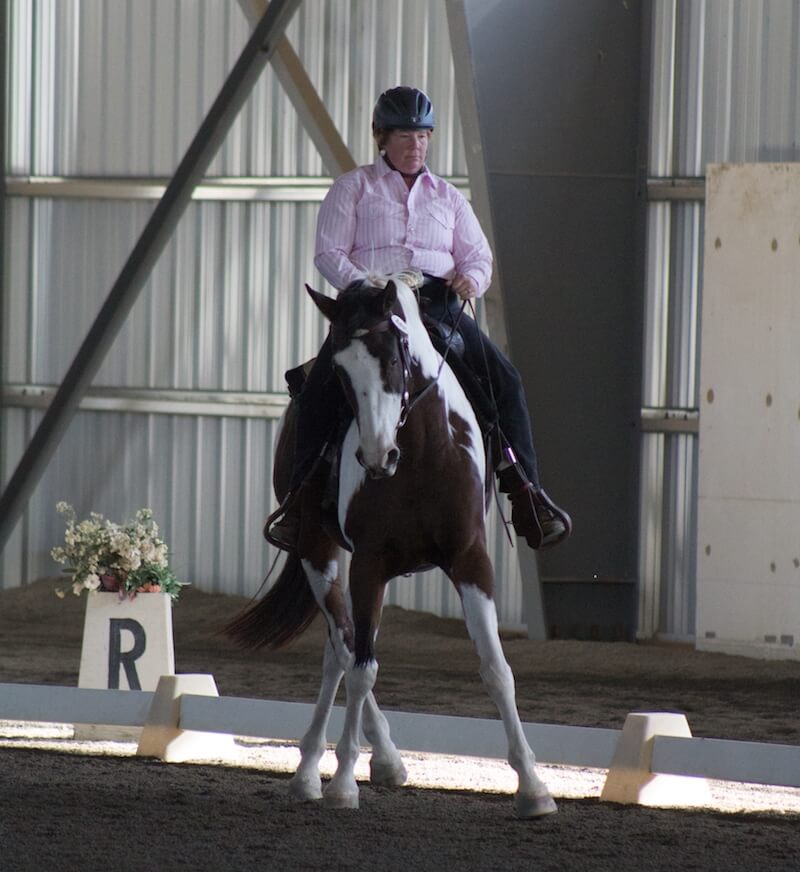 Getting Started in Western Dressage - - The Northwest Horse Source