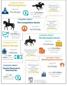 Economic Impact of Horse Industry in United States - News - The ...