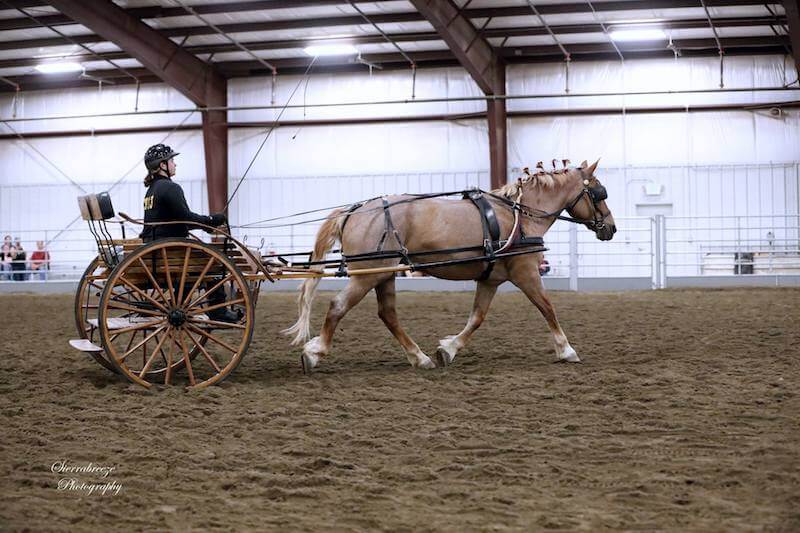 The Grant County Fairgrounds - - The Northwest Horse Source