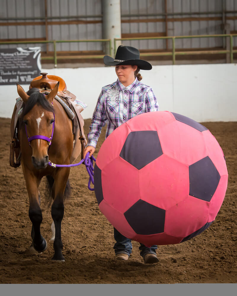 Teens and Oregon Mustangs: Making Wild Dreams Come True - - The ...