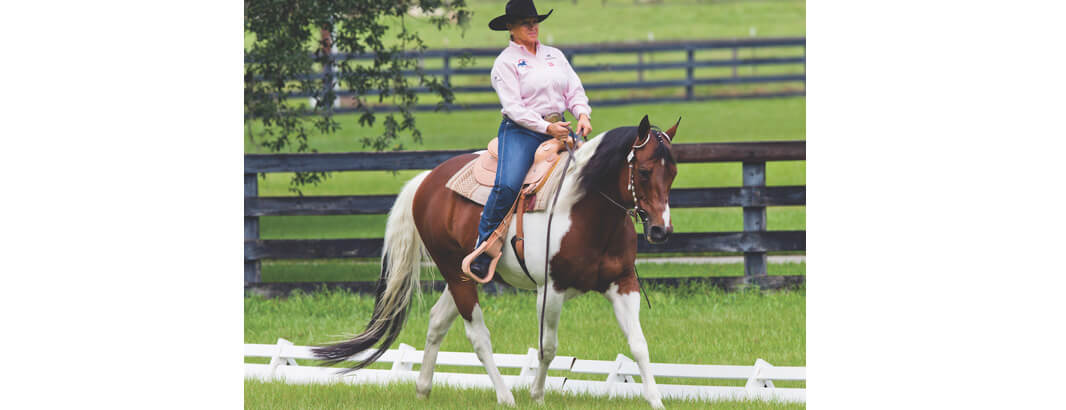 Western Dressage Tips - - The Northwest Horse Source