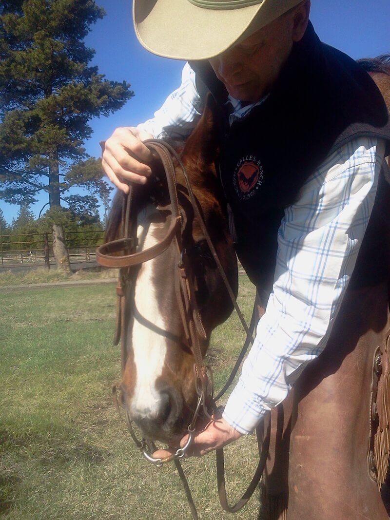 Your Most Important Piece of “Tack” - - The Northwest Horse Source