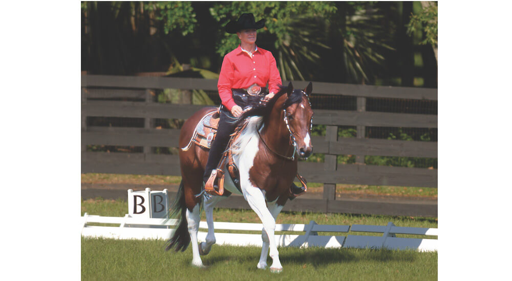 Basics of Balance - - The Northwest Horse Source