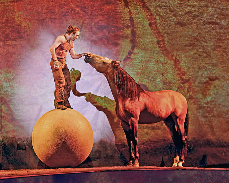 CAVALIA: It’s All About the Horse - - The Northwest Horse Source