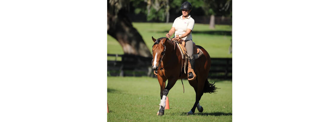 Trainer's Corner: How to Put Your Horse in Balance with Bending - Part ...