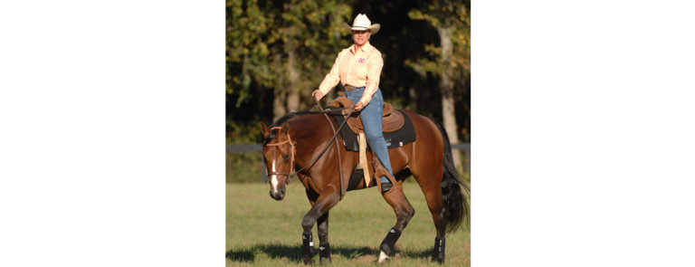 Trainer's Corner: How to Put Your Horse in Balance – Part 2 - - The ...