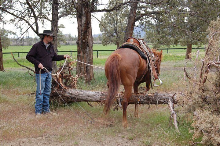 0811 cover The Sky Hawk Ranch Trail Rider’s Paradise Sky Hawk trail ...