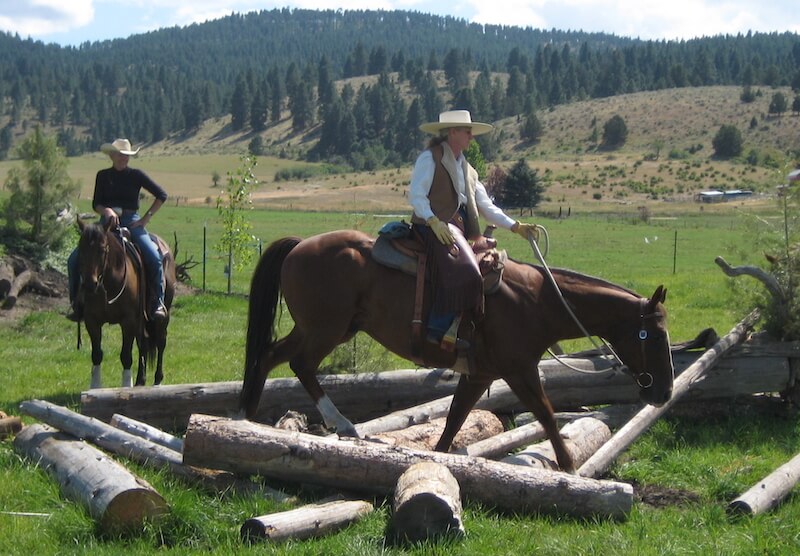 0811 cover The Sky Hawk Ranch Trail Rider’s Paradise Sky HawkJoLinn ...