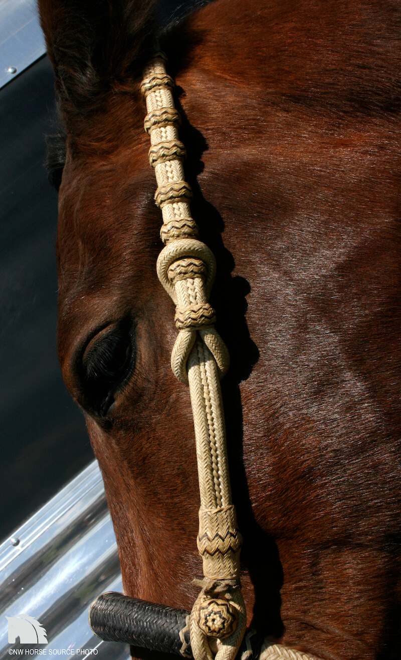 Tack for Cowhorse Competition - - The Northwest Horse Source