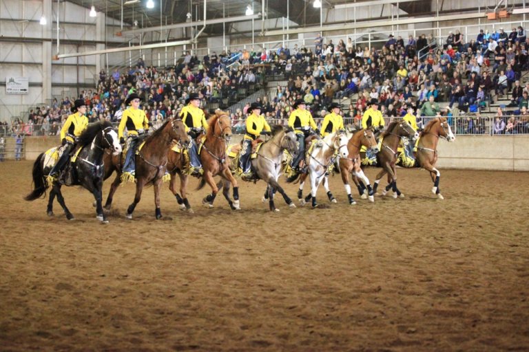 Perf Drill Team NWHFE 0220 MP Ad – The Northwest Horse Source
