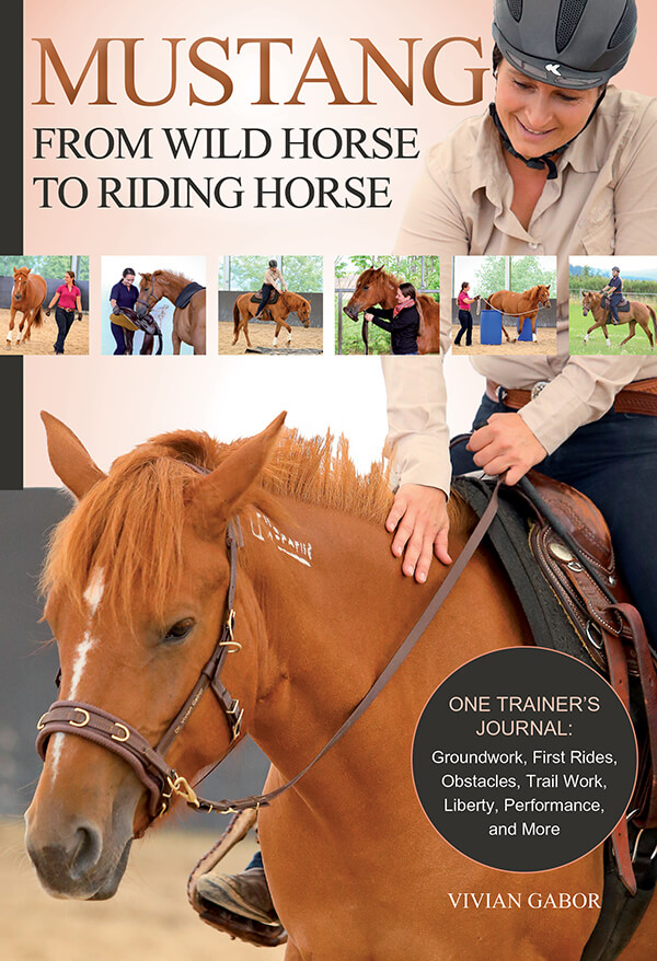 Book Review: Mustang: From Wild Horse to Riding Horse - - The Northwest ...