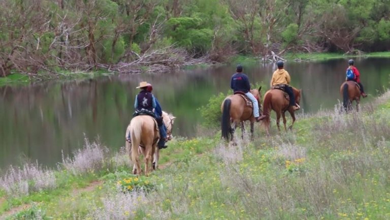 Fall Riding Opportunities in Washington - Rock Creek Horse Camp ...