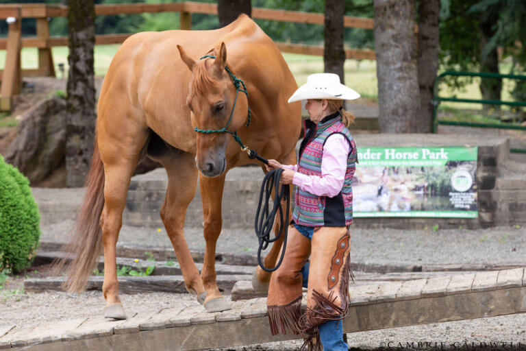 Trail Obstacle Problem Solving with Mark Bolender - Overcoming the Teeter-totter - Horse ...